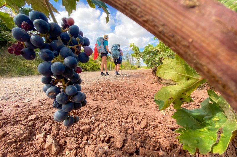 Cultural Festivals Along the Camino de Santiago - U Walk
